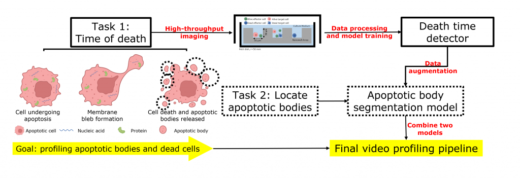 Single-Cell Lab